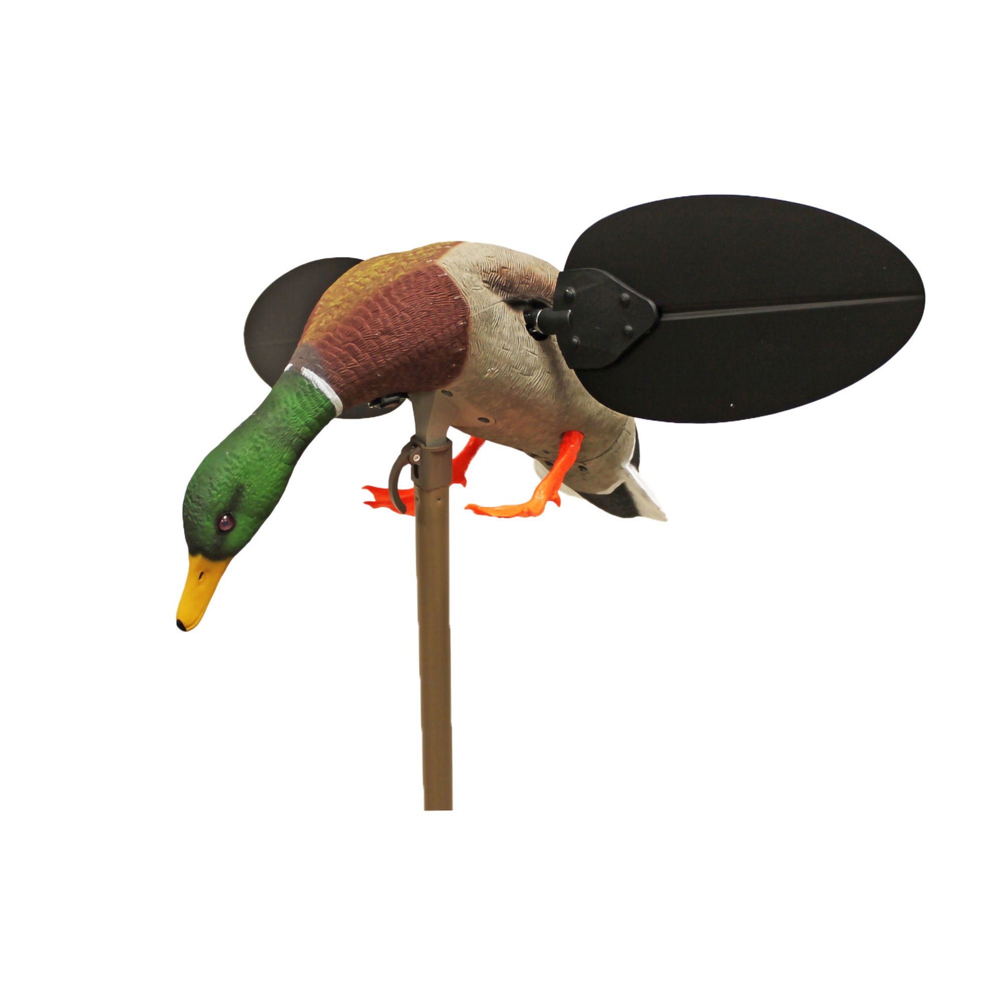 MOJO Mallard Drake UN3481 – Realistische Lockente für die Entenjagd