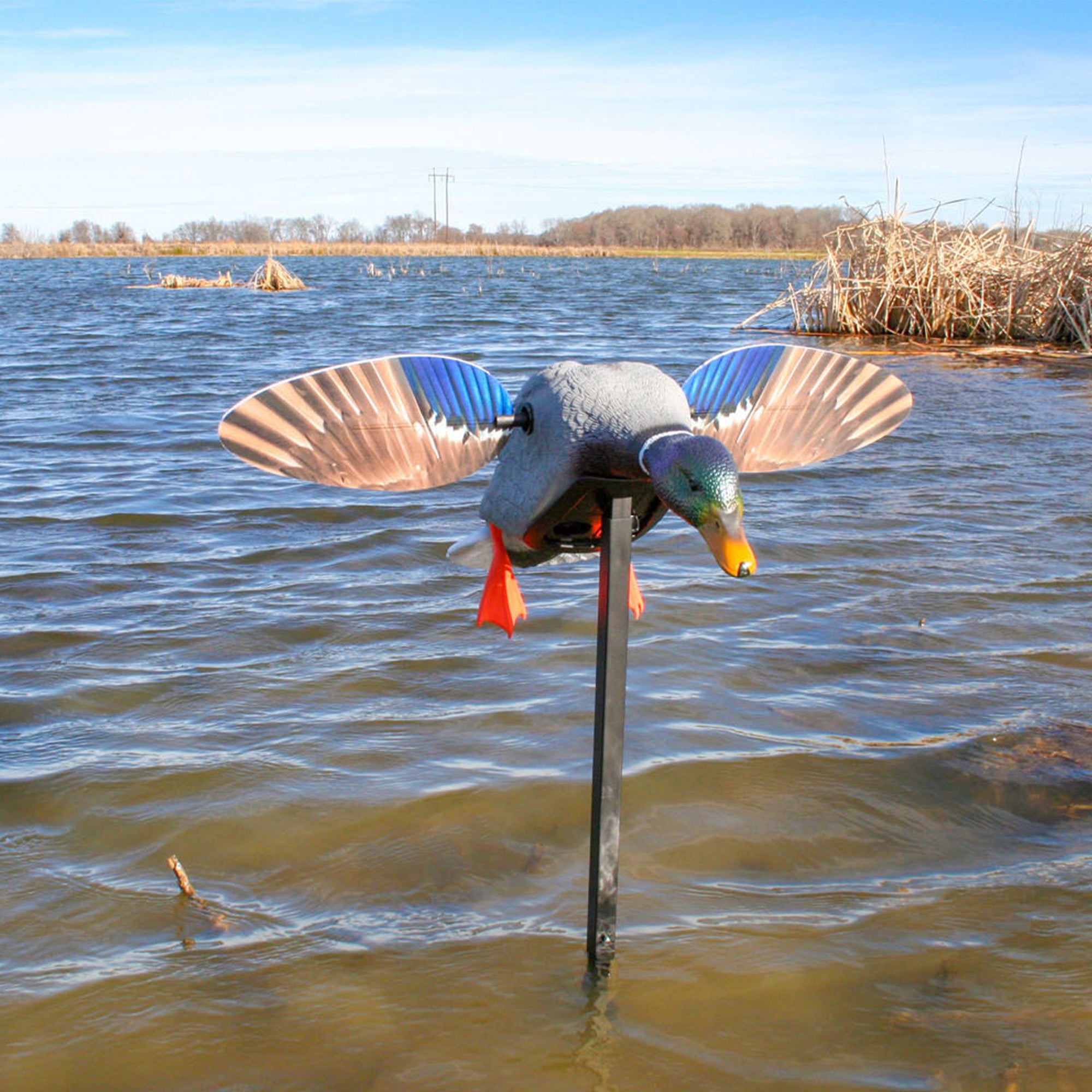 MOJO Elite Series Mini Mallard Drake – Realistischer Lockvogel